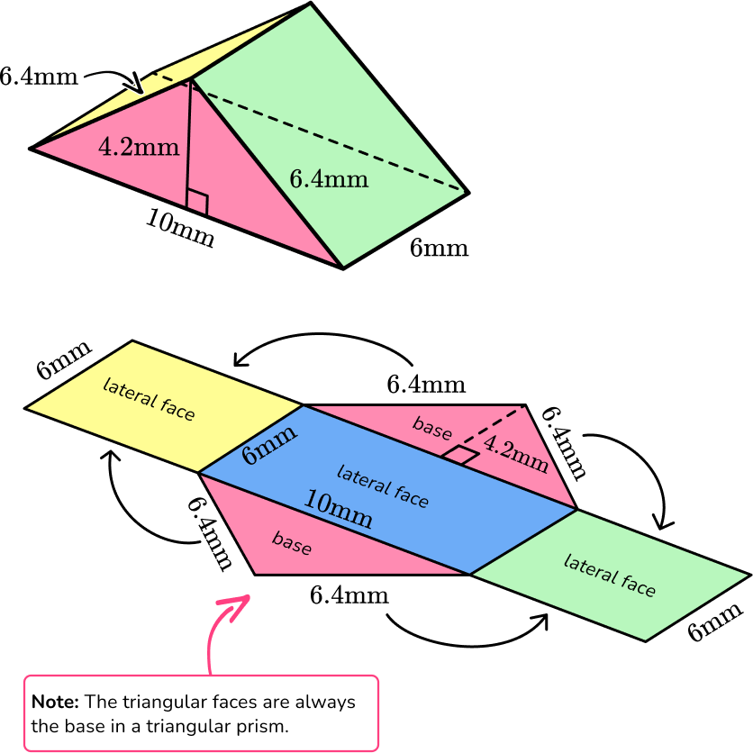 Total and Lateral Surface Area 8th Grade Quiz | Quizizz