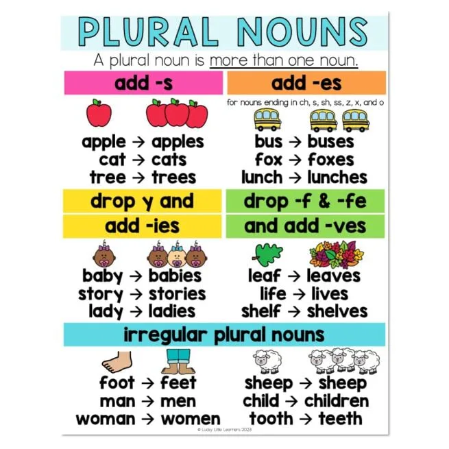Plural Nouns and Collective Nouns Flashcards