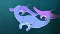 Whizpops! Manta Ray Music Video 1st - 6th Grade Video | Wayground ...