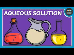 Aqueous Solutions Quiz