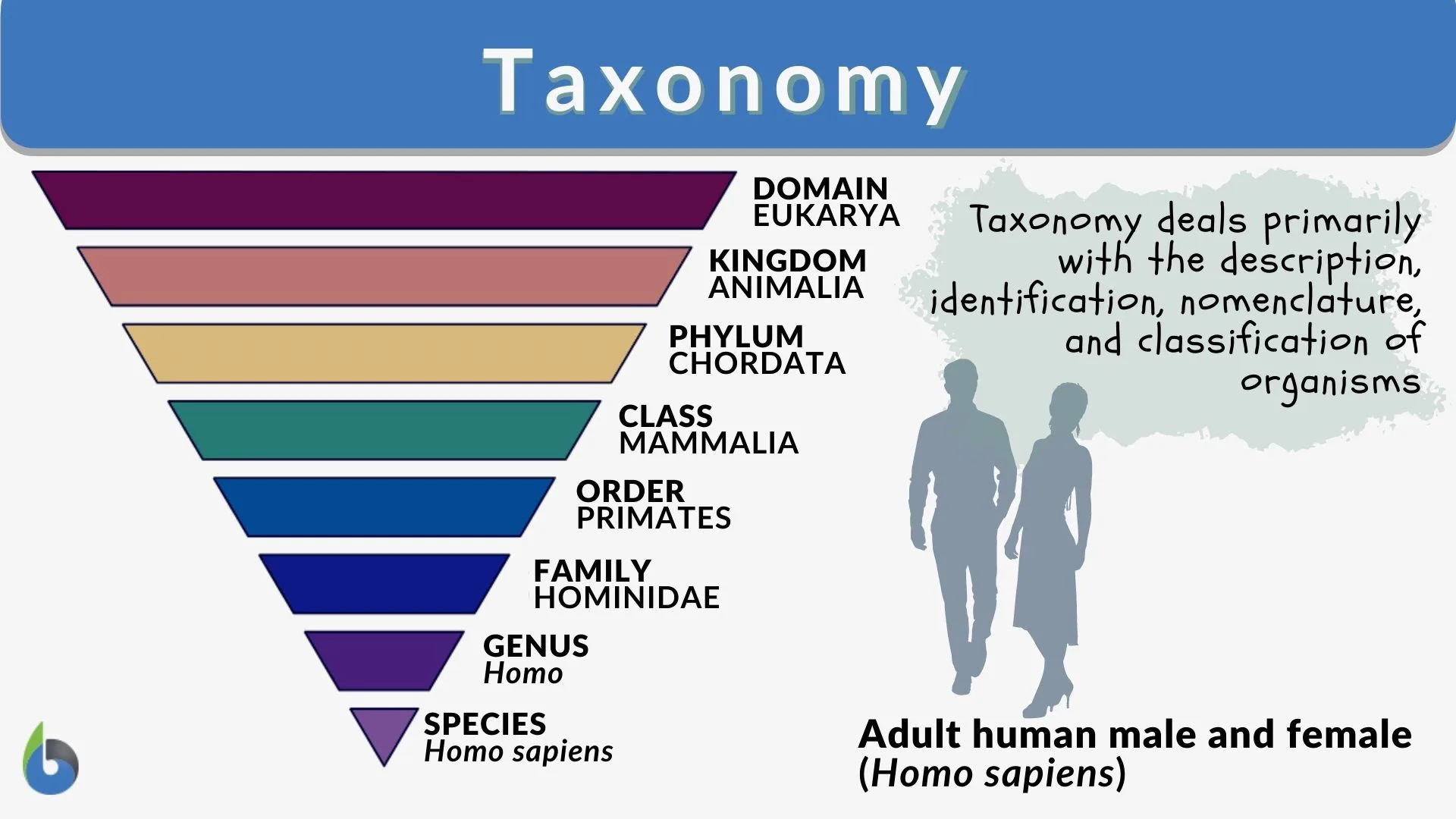 Introduction to Taxonomy & Classification 7th Grade Quiz | Quizizz
