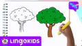 How to Draw a Tree 1st - 3rd Grade Video | Quizizz