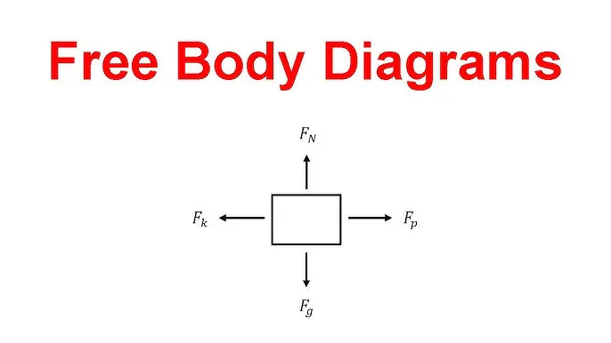Free-Body Diagrams Refresher 8th Grade Quiz | Quizizz