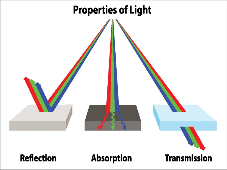 Unit 2 Behavior of Light Test Review-7th Grade-2024 8th Grade Quiz ...