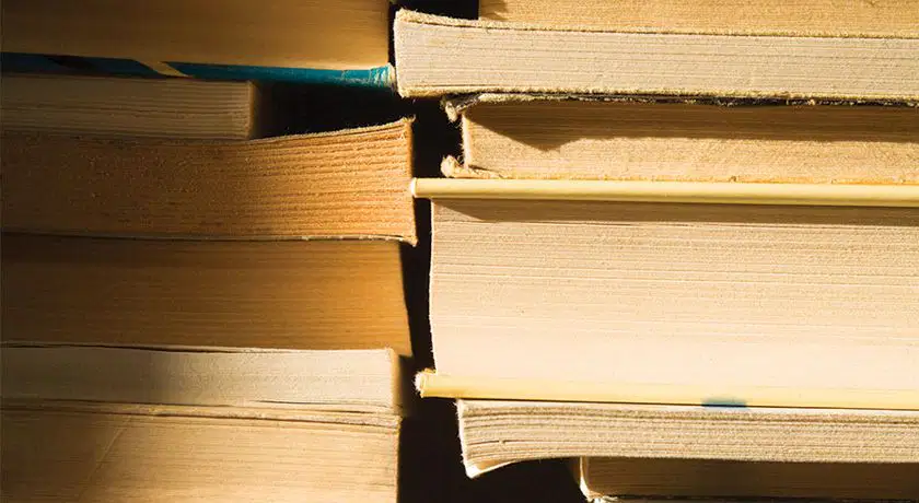 Literary Devices definitions Quiz