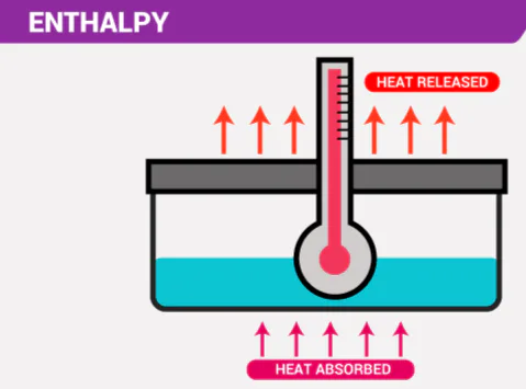 Warm Up (Enthalpy Stoichiometry) Quiz