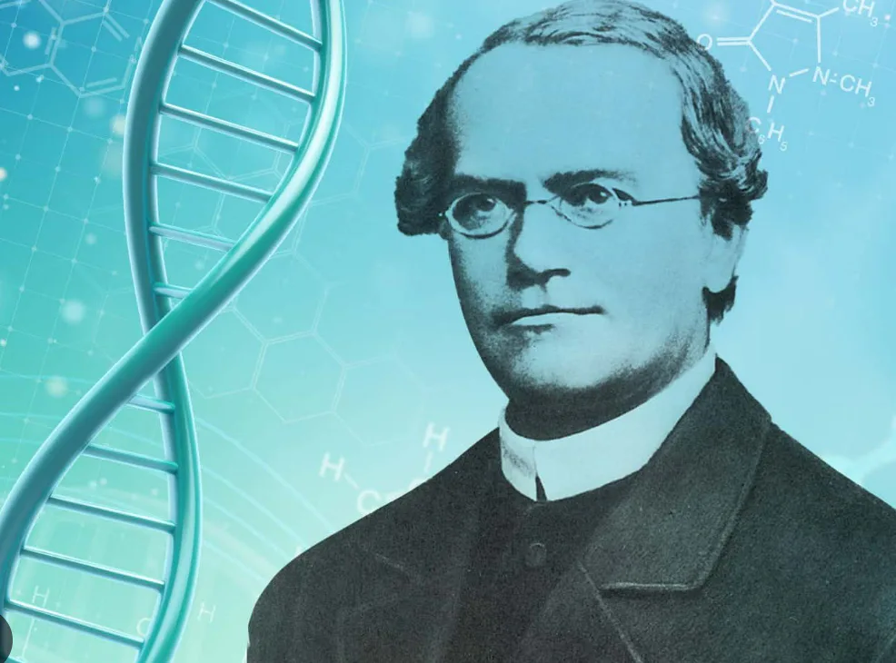 Genetics Unit Test 9th - 10th Grade Quiz | Wayground (formerly Quizizz)