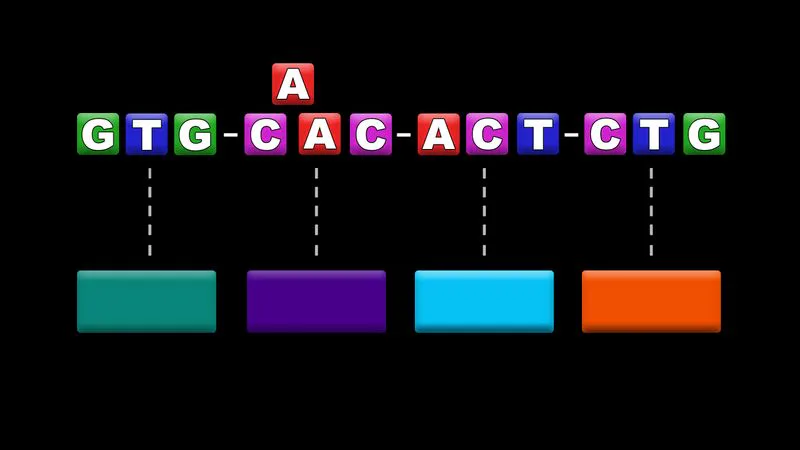 Gene Mutation 9th - 12th Grade Quiz | Quizizz