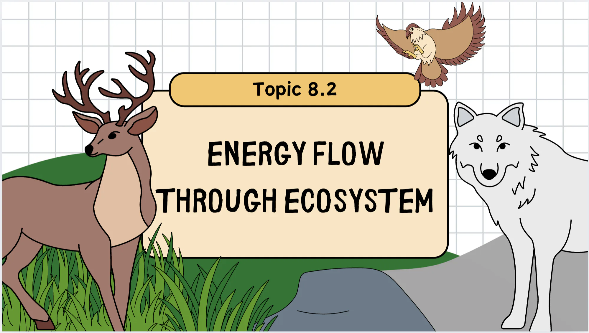 Energy flow through Ecosystem University Flashcard | Quizizz