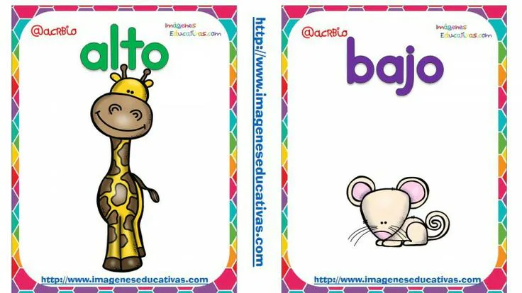 Buen Viaje Chapter 1 Adjectives Quiz