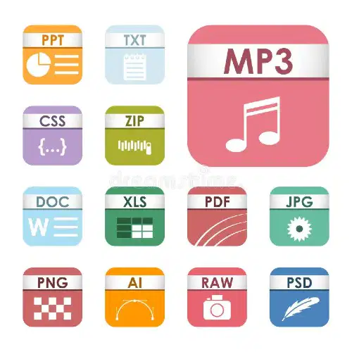 Multimedia Basic Format - Assessment