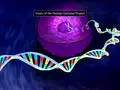 Human Genome Project Interactive Video