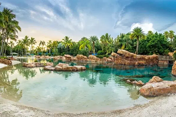 Discovery Cove SOP Quiz Vocational training Quiz | Quizizz