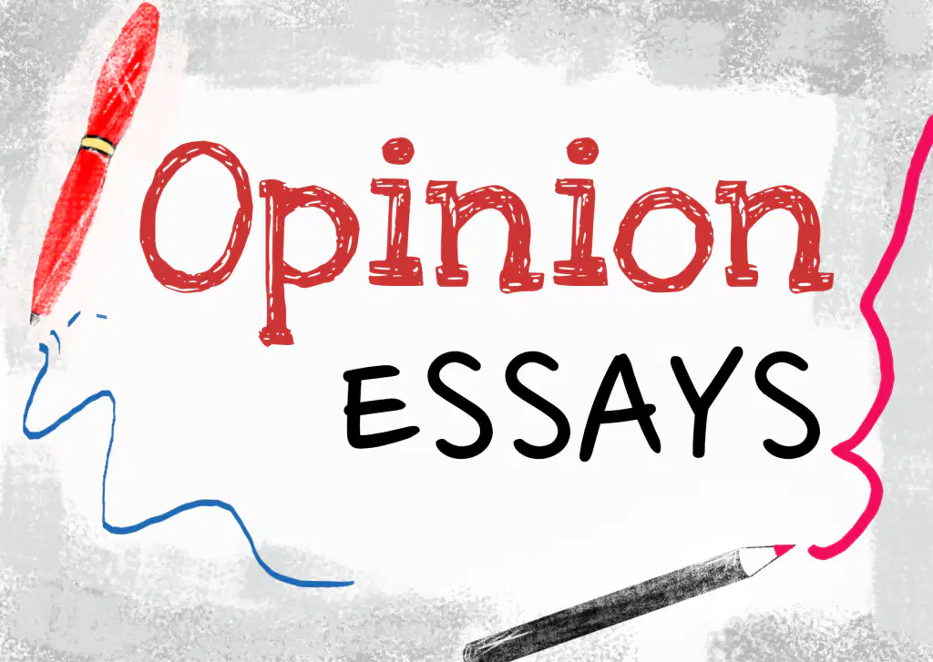 Opinion Essay Structure Quiz