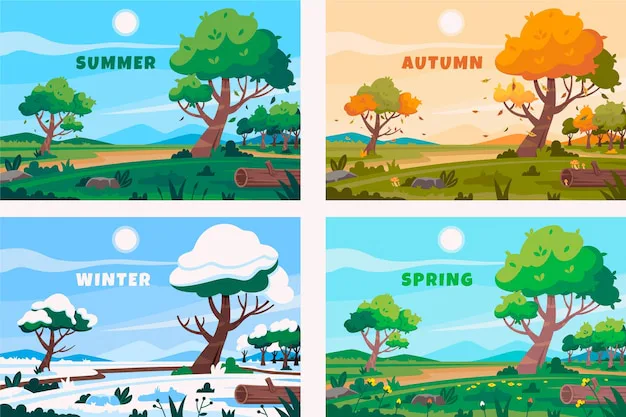 Estaciones del año 6th Grade Quiz | Wayground