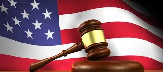 Sources and Types of Law ss.7.CG.3.7 7th Grade Quiz | Quizizz