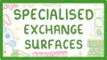 GCSE Biology - Specialised Exchange Surfaces 9th - 10th Grade Video ...