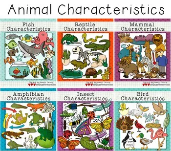 Amplify Unit 2 Vocabulary Quiz