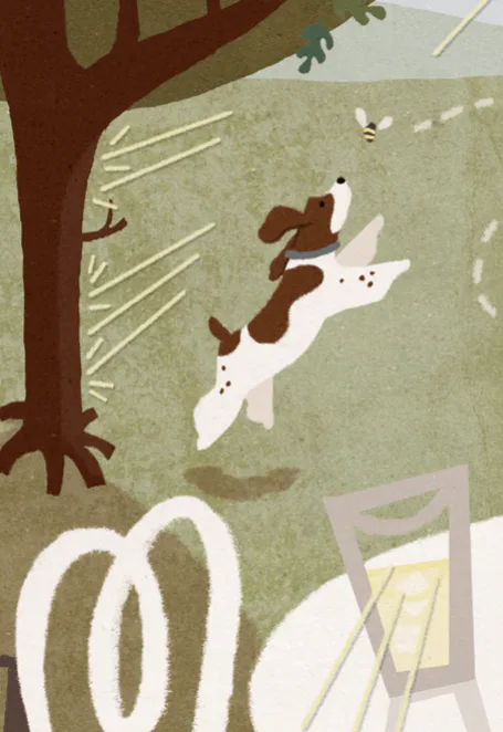 CKLA Unit 5 Assessment 3rd Grade Quiz | Wayground