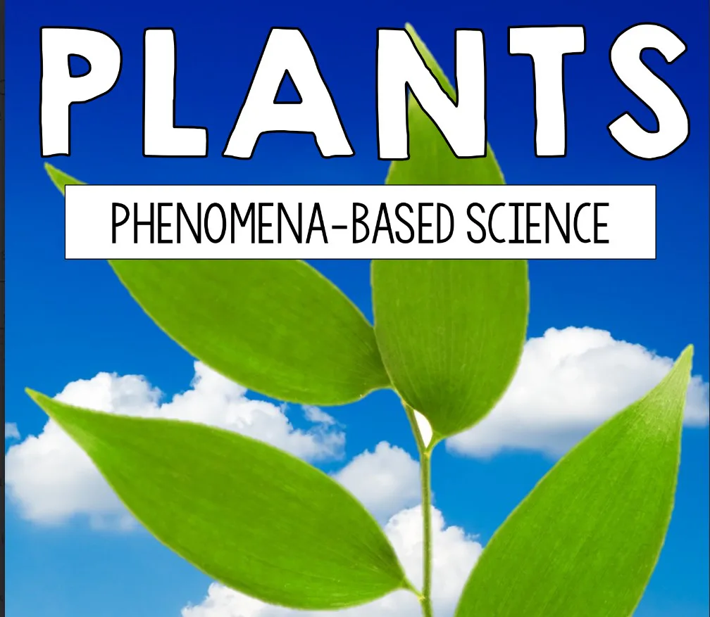 Plants 5th Grade Flashcard | Quizizz