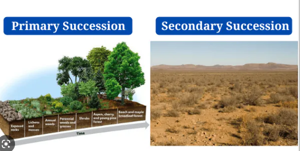 Intro to Environmental Science, Energy and Matter, Biodiversity, Land ...