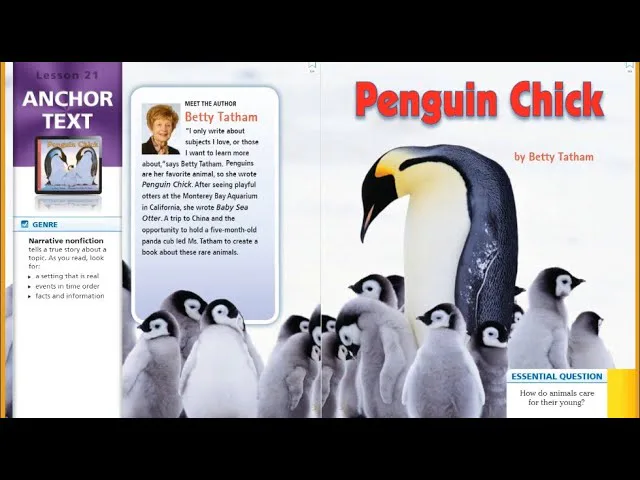 penguin chick story Quiz