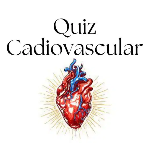 Sistema cardiovascular Quiz
