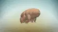 Tardigrades may be alive on moon following Beresheet crash landing ...