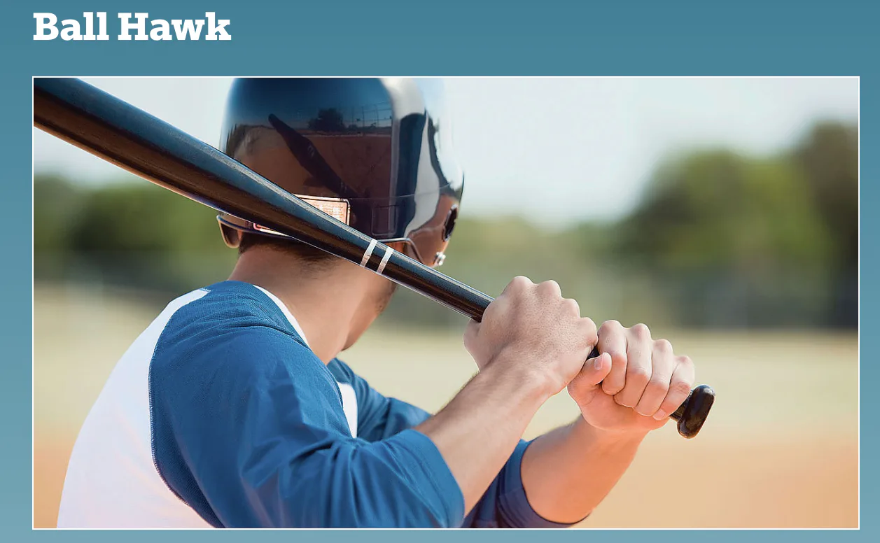 Commonly Confused Words (Ball Hawk HMH Unit 5) Quiz