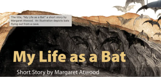 Exploring 'My Life as a Bat' Quiz