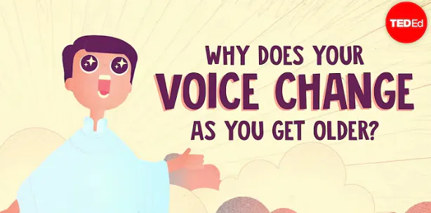 (MCQ) Why does your voice change as you get older? Quiz