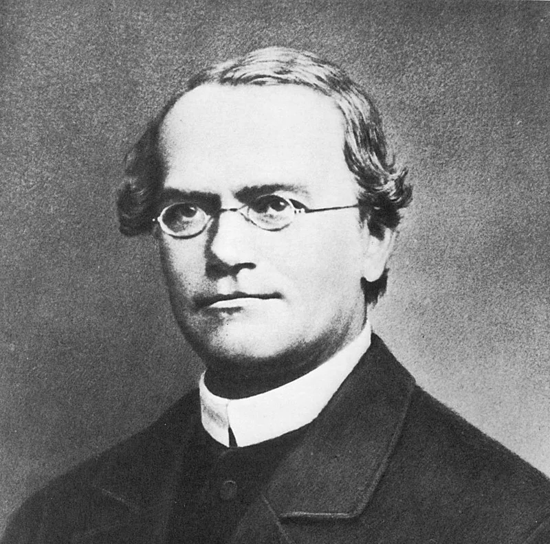 Mendelian Genetics Quiz