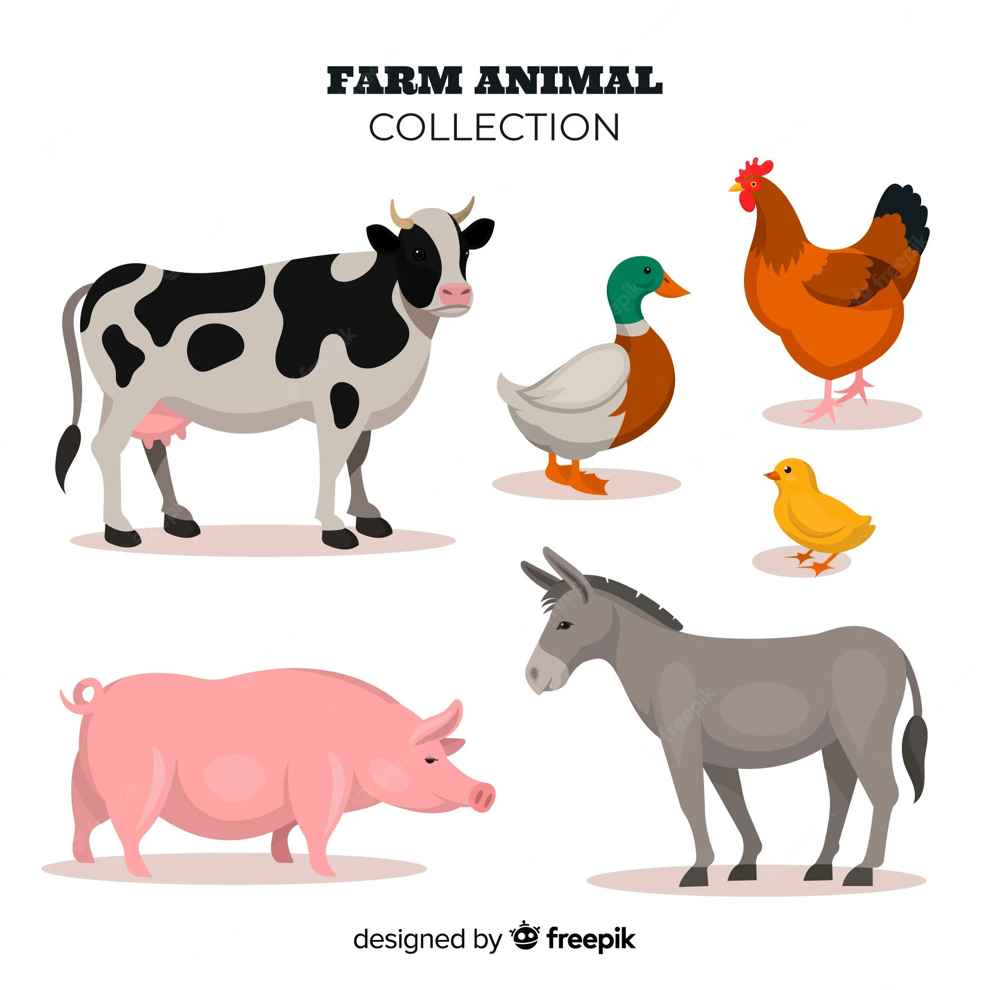 farm animals 1st - 5th Grade Quiz | Quizizz