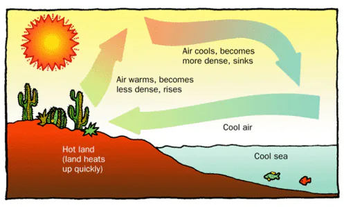 Convection and Air Currents 7th Grade Passage | Quizizz