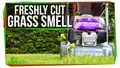 What Makes Fresh Cut Grass Smell? Interactive Video