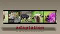 Changing Traits for Adaptation 4th Grade - University Video | Wayground