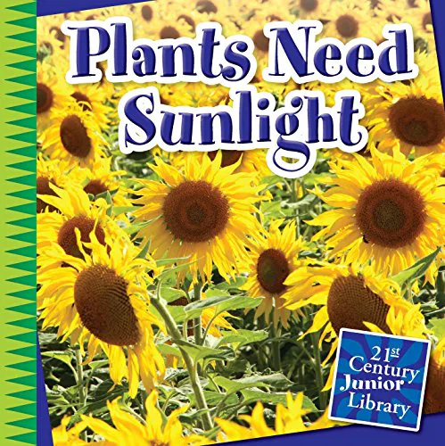 Plants Need Sunlight 5th Grade Flashcard | Wayground (formerly Quizizz)