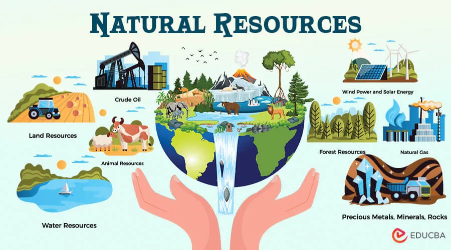 12 HGS Economics of Natural Resources 9th Grade Quiz | Wayground ...