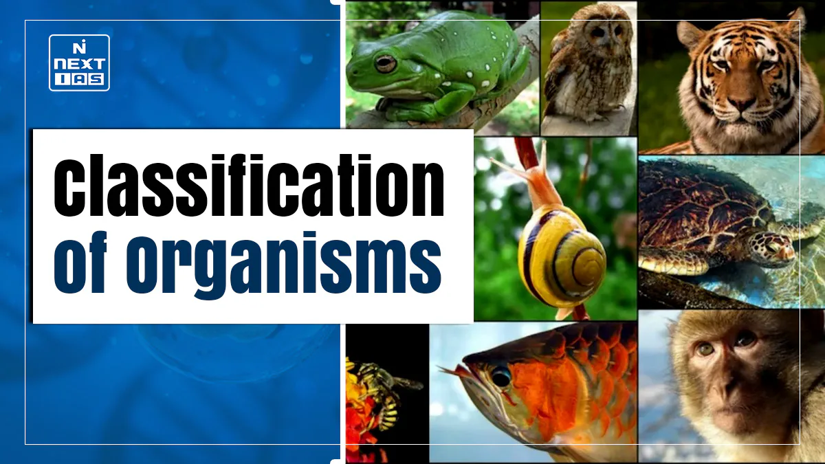 Classification of Living Organisms Vocab Flashcards