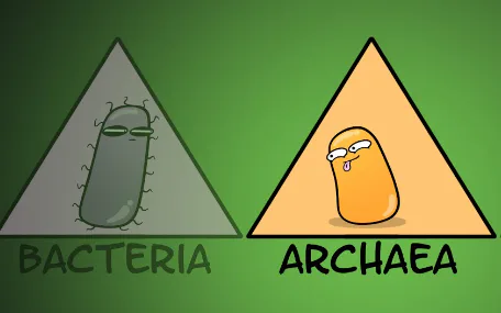 Bacteria and Archaea 9th - 12th Grade Quiz | Quizizz