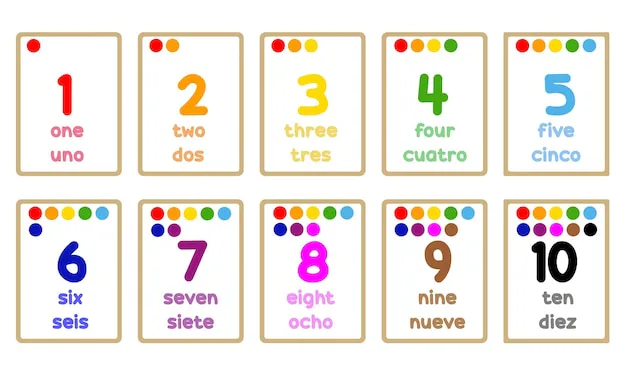1. Spanish Numbers and Counting 1st Grade Quiz | Wayground