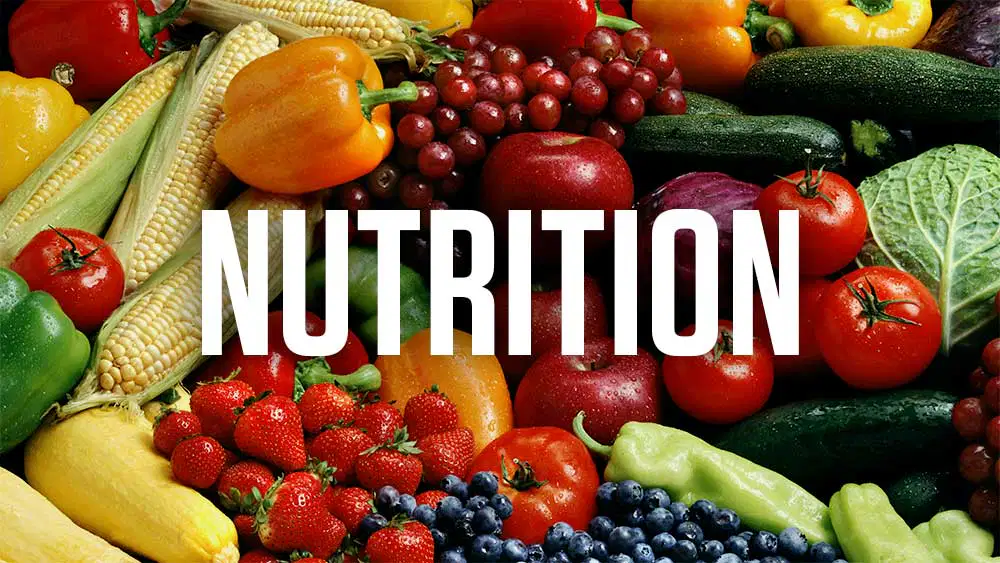 Nutrition Wrap Up 11th Grade Flashcard | Wayground (formerly Quizizz)