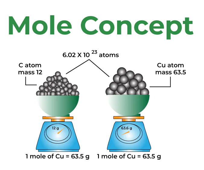 Liter and the Mole 10th - 11th Grade Quiz | Quizizz