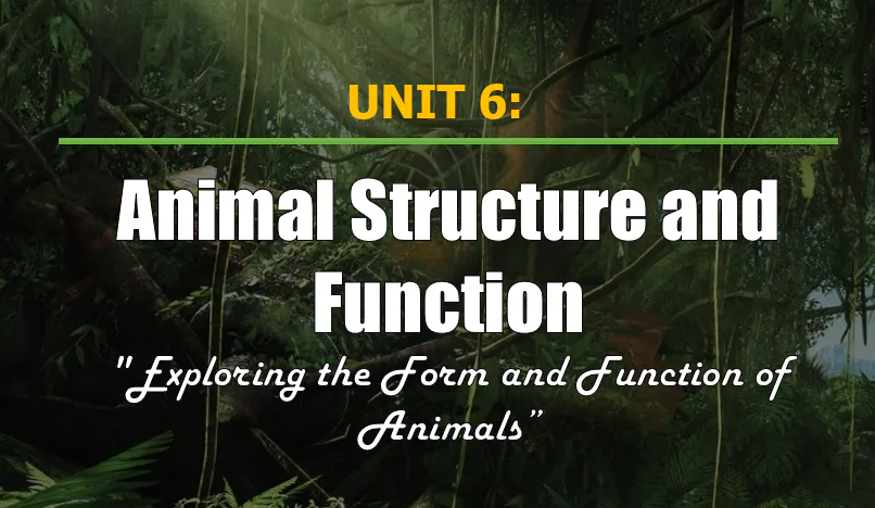 Animal Structure and Function Quiz Quiz