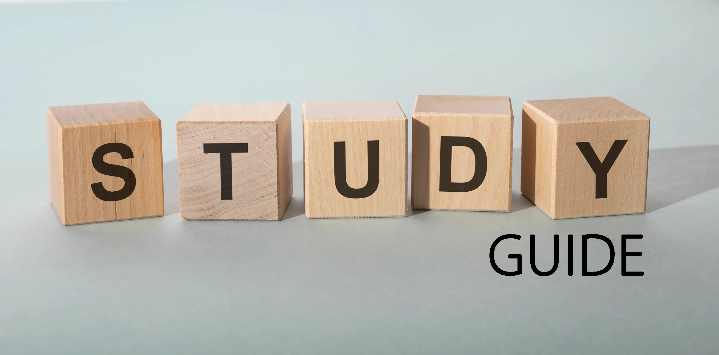 Unit 5 Study Guide 8th Grade Flashcard | Wayground