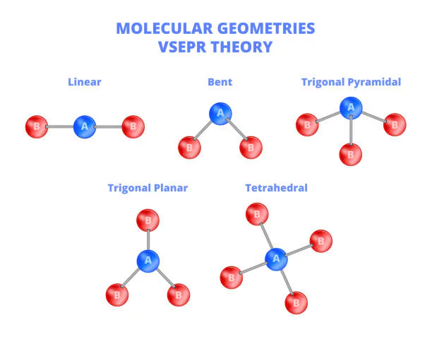 VSEPR Molecular Shapes and Bond Angles 10th - 12th Grade Quiz | Wayground