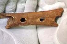 neanderthal flute Quiz