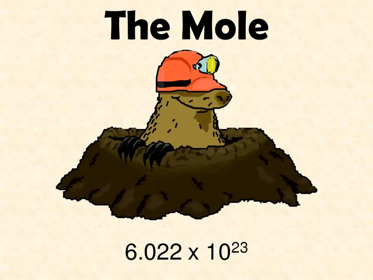 Molar Mass, Mole Conversion, and Percent Composition 10th Grade Quiz ...