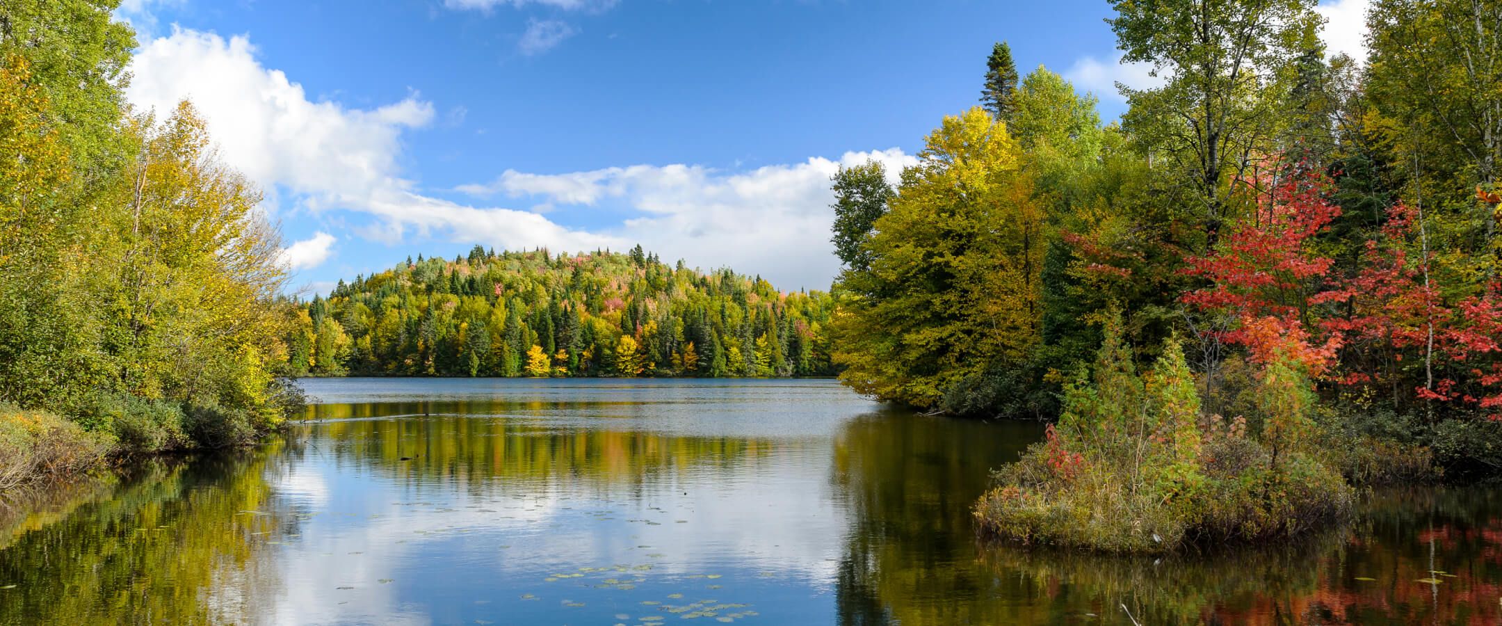 Freshwater 6th - 8th Grade Quiz | Quizizz