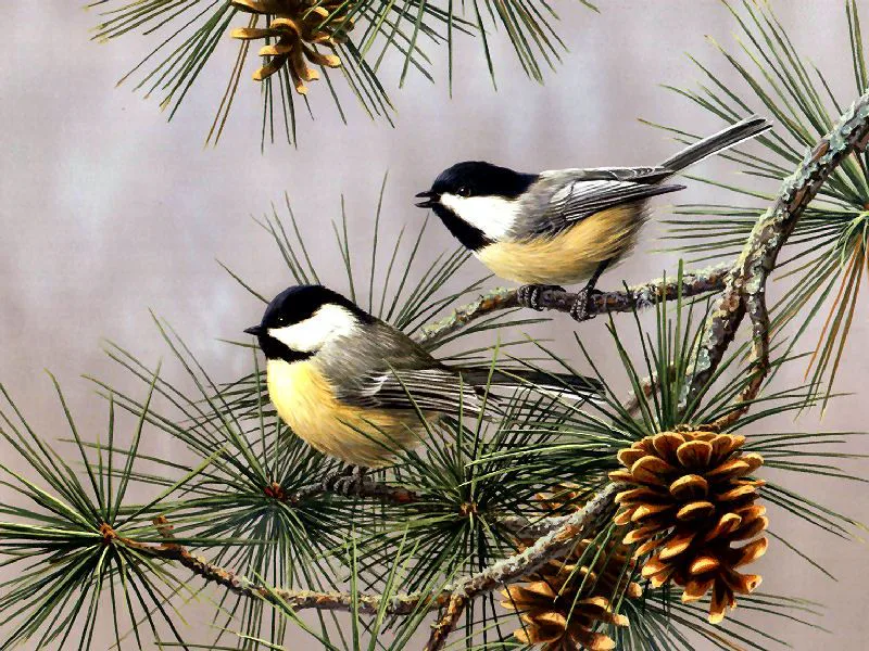 Prepositional Phrases or Infinitives 6th - 8th Grade Quiz | Wayground